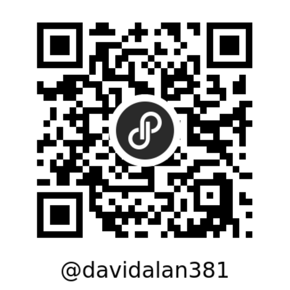 davidalan381 | Accessories | Davidalan38s Closet Qr Code | Poshmark